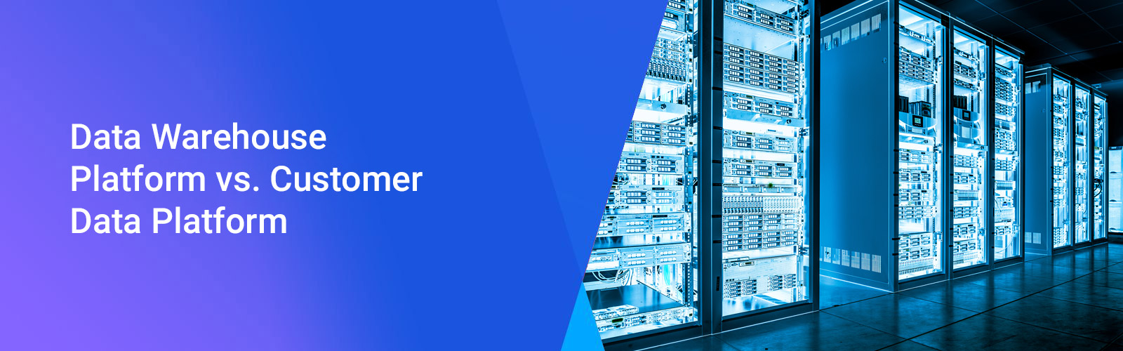 Data Warehouse Platform vs. Customer Data Platform